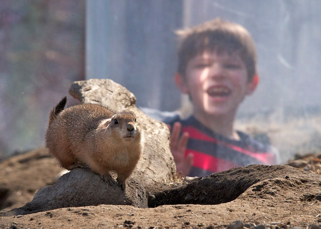 Derby Neck Library – A Library for Life